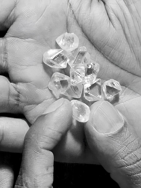 Rosy Blue Foundation